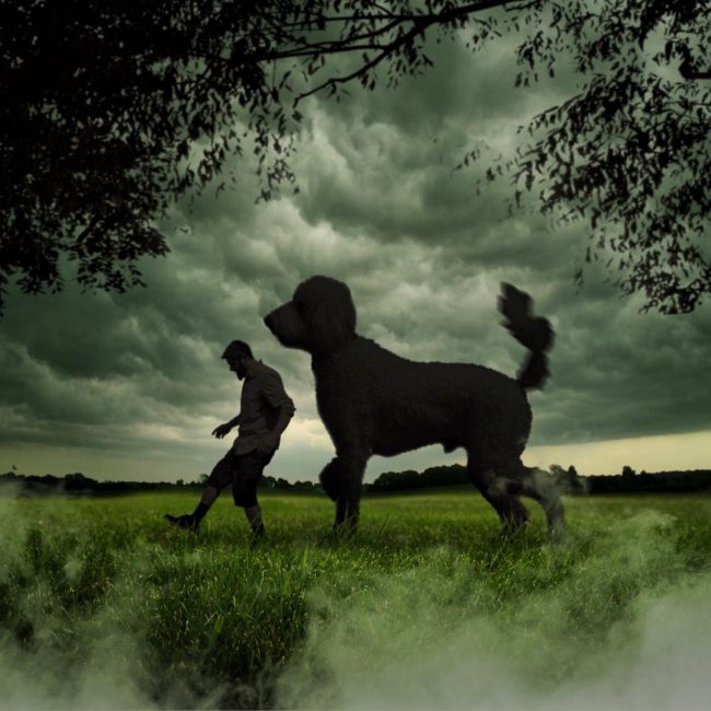 Photographer Chris Cline Can’t Get Enough Of His Dog So He Supersizes ...