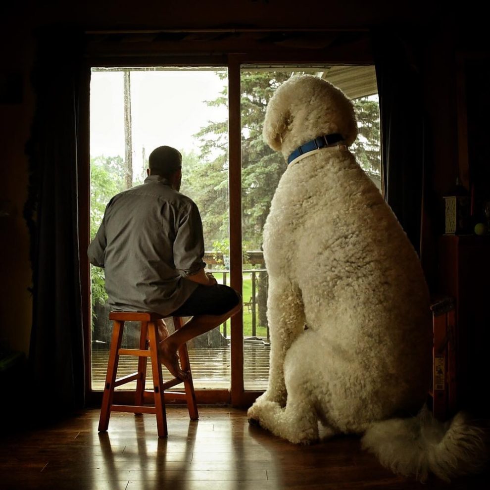 Photographer Chris Cline Can’t Get Enough Of His Dog So He Supersizes ...