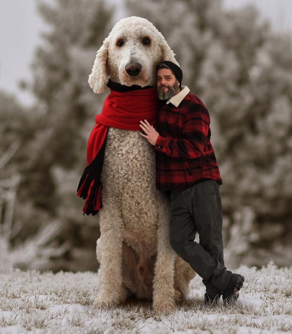 Photographer Chris Cline Can’t Get Enough Of His Dog So He Supersizes ...