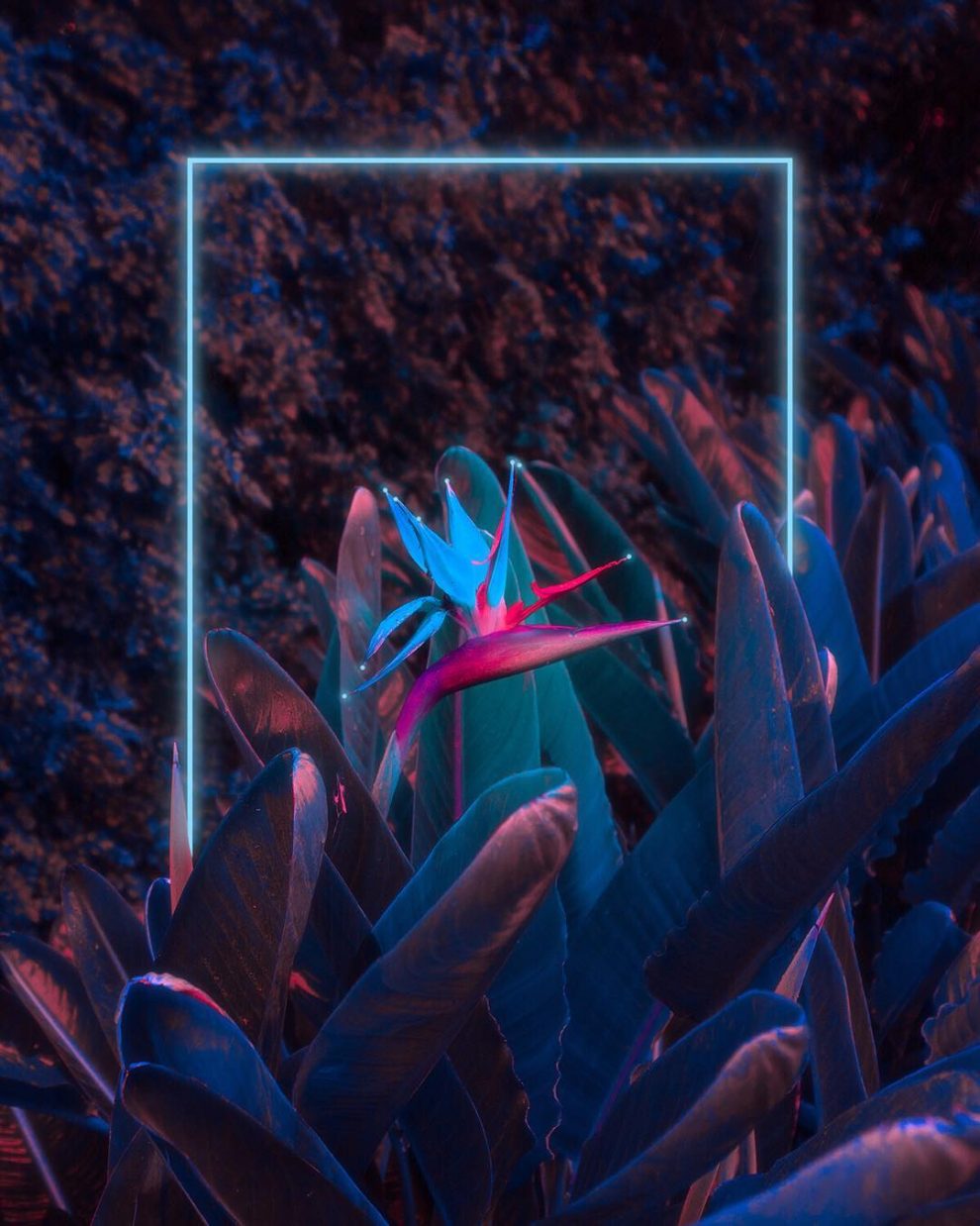 “Outside The Boundaries”: The Colourful Universe Of Mischelle Moy ...