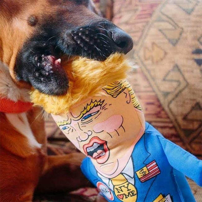 “Make Your Pet’s Chew Toy Great Again”: Trump Dog Chew Toy Is Getting ...