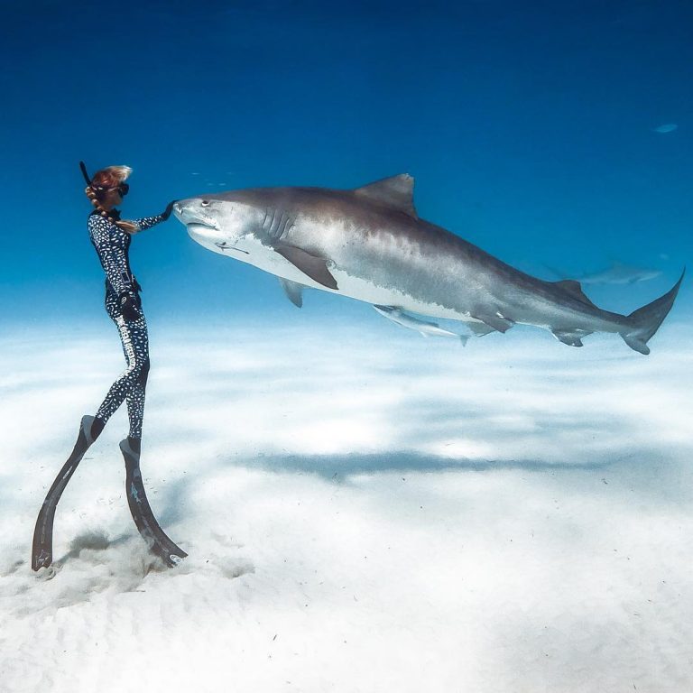 “Dancing With Sharks”: Incredible Underwater Photography By Juan ...