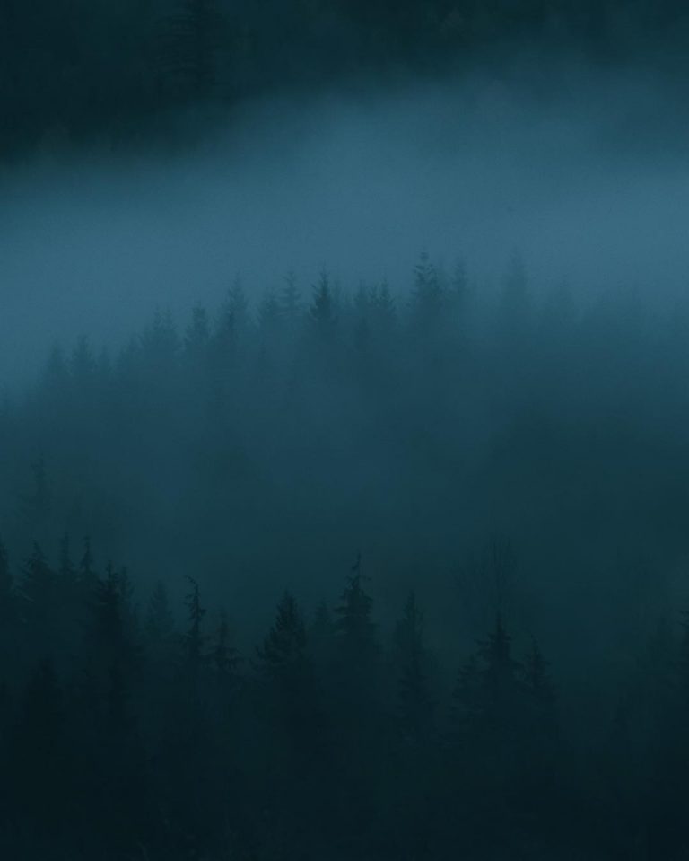 Breathtaking Moody And Mysterious Forest Photography By Dylan Furst ...