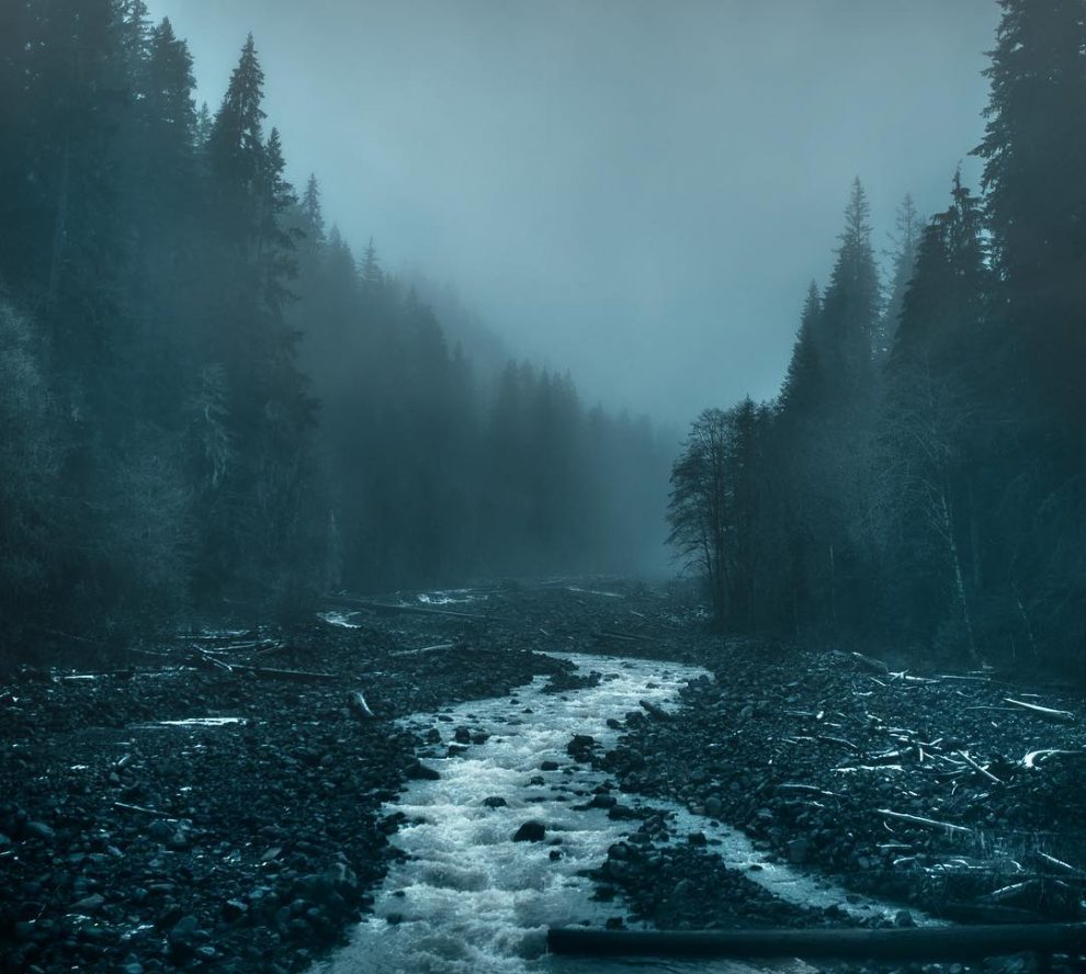 Breathtaking Moody And Mysterious Forest Photography By Dylan Furst ...