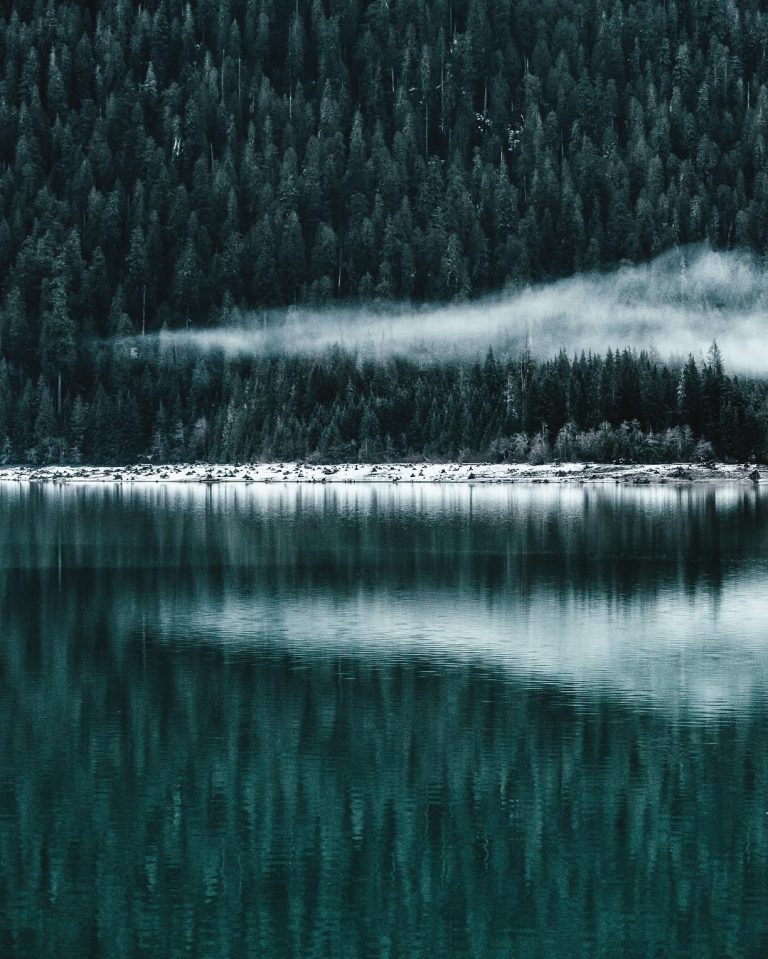 Breathtaking Moody And Mysterious Forest Photography By Dylan Furst ...