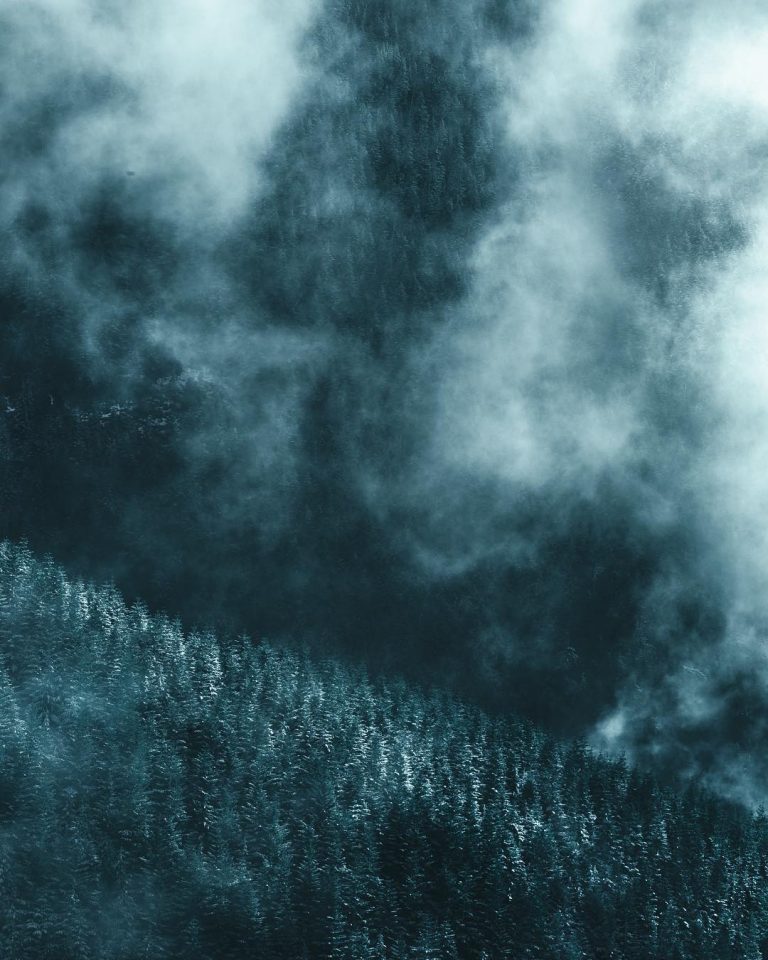 Breathtaking Moody And Mysterious Forest Photography By Dylan Furst ...