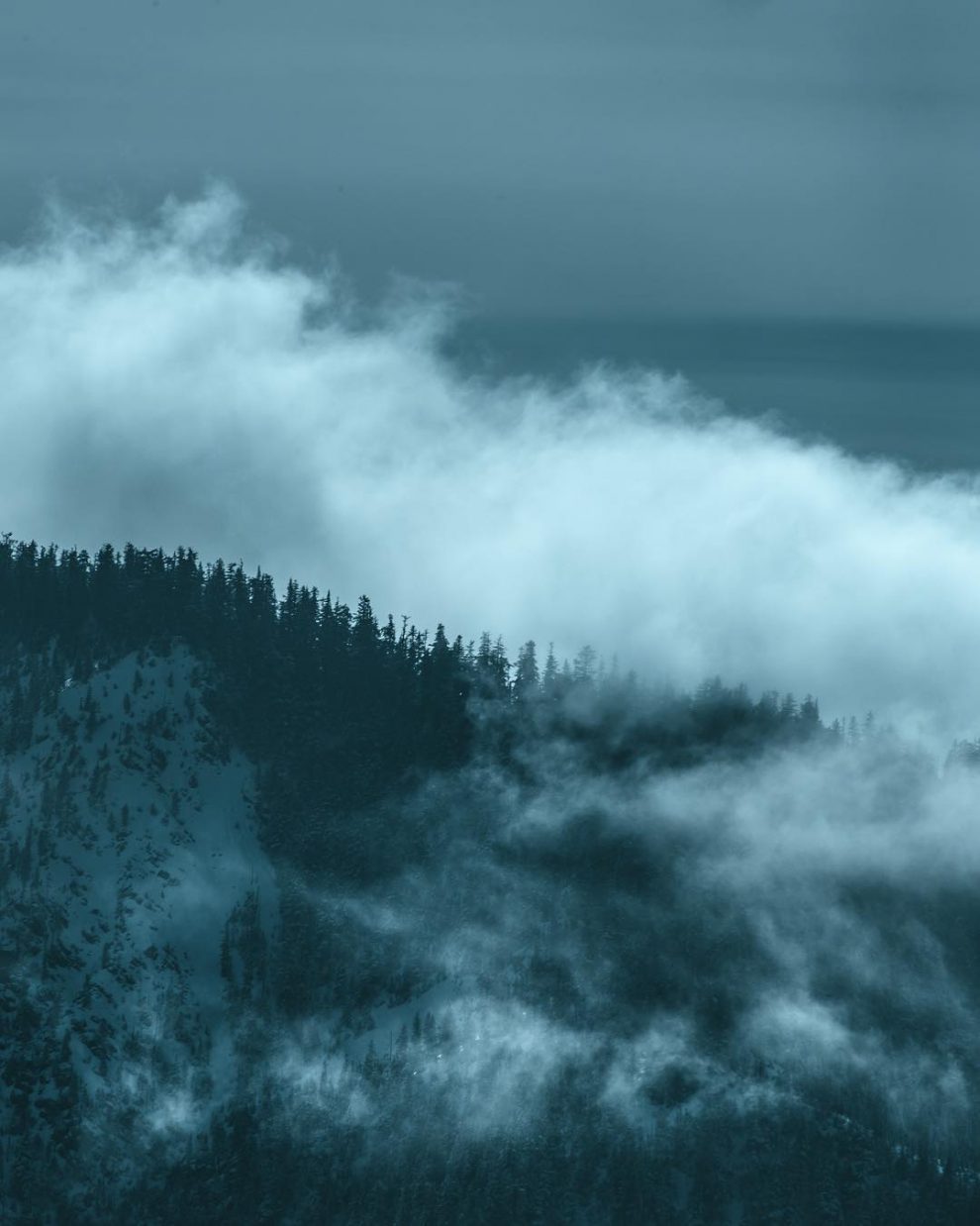 Breathtaking Moody And Mysterious Forest Photography By Dylan Furst ...