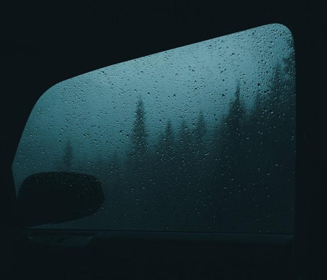 Breathtaking Moody And Mysterious Forest Photography By Dylan Furst ...