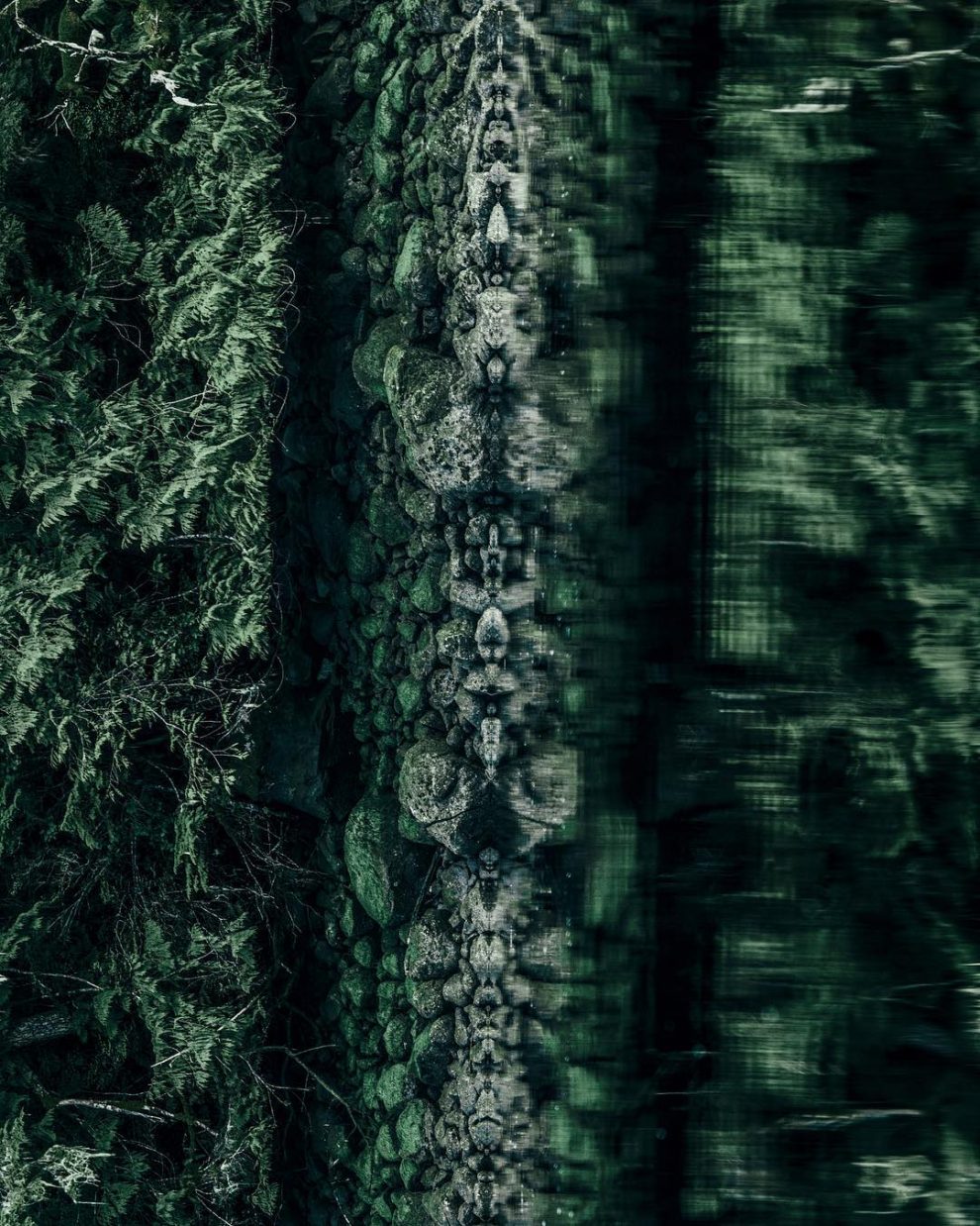 Breathtaking Moody And Mysterious Forest Photography By Dylan Furst ...