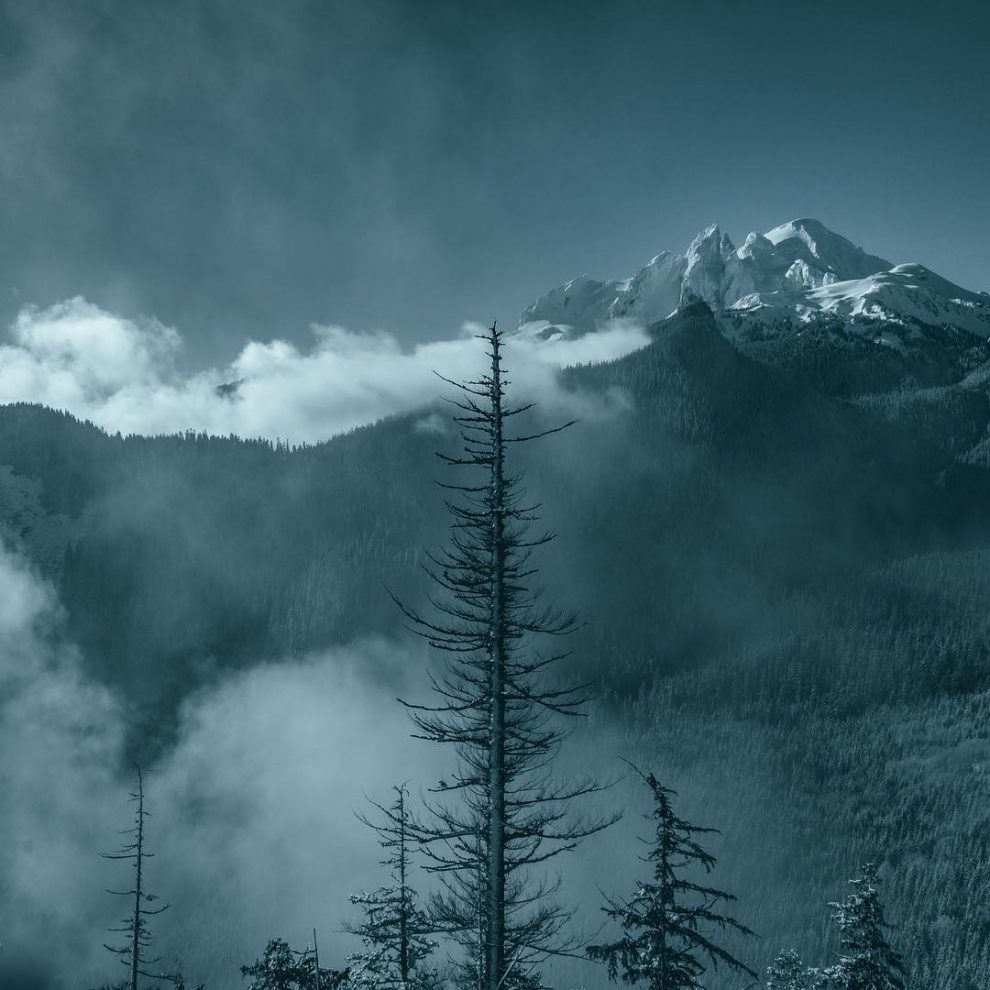 Breathtaking Moody And Mysterious Forest Photography By Dylan Furst ...