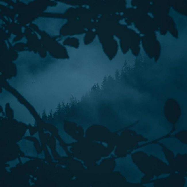 Breathtaking Moody And Mysterious Forest Photography By Dylan Furst ...