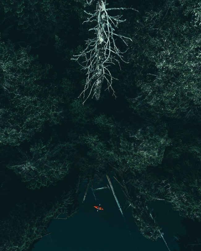 Breathtaking Moody And Mysterious Forest Photography By Dylan Furst ...