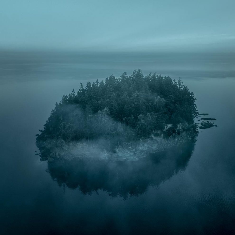 Breathtaking Moody And Mysterious Forest Photography By Dylan Furst ...