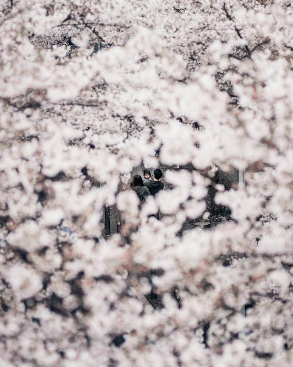 “One Life, One Encounter”: Cinematic Street Photography Of Japan By ...