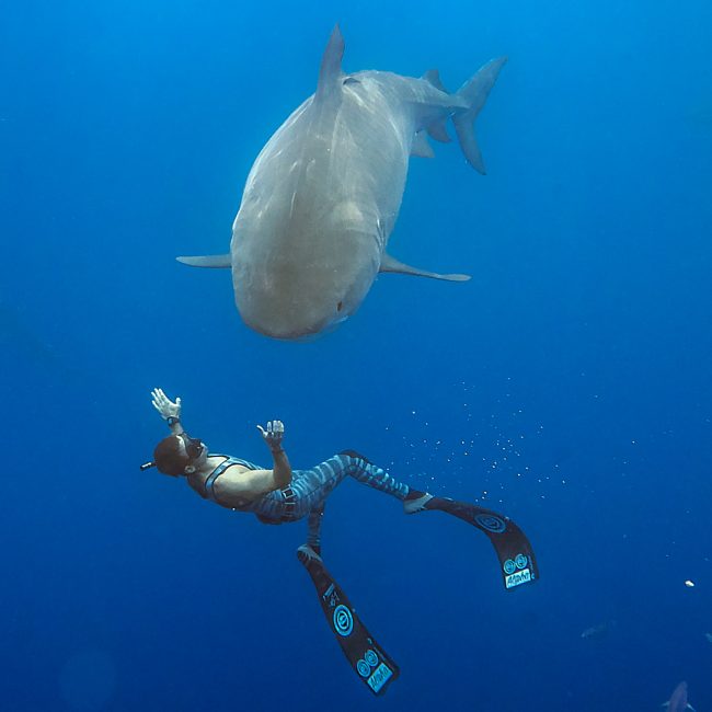 “Dancing With Sharks”: Incredible Underwater Photography By Juan ...