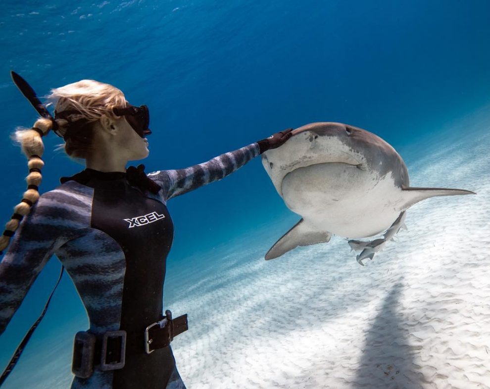 “Dancing With Sharks”: Incredible Underwater Photography By Juan ...