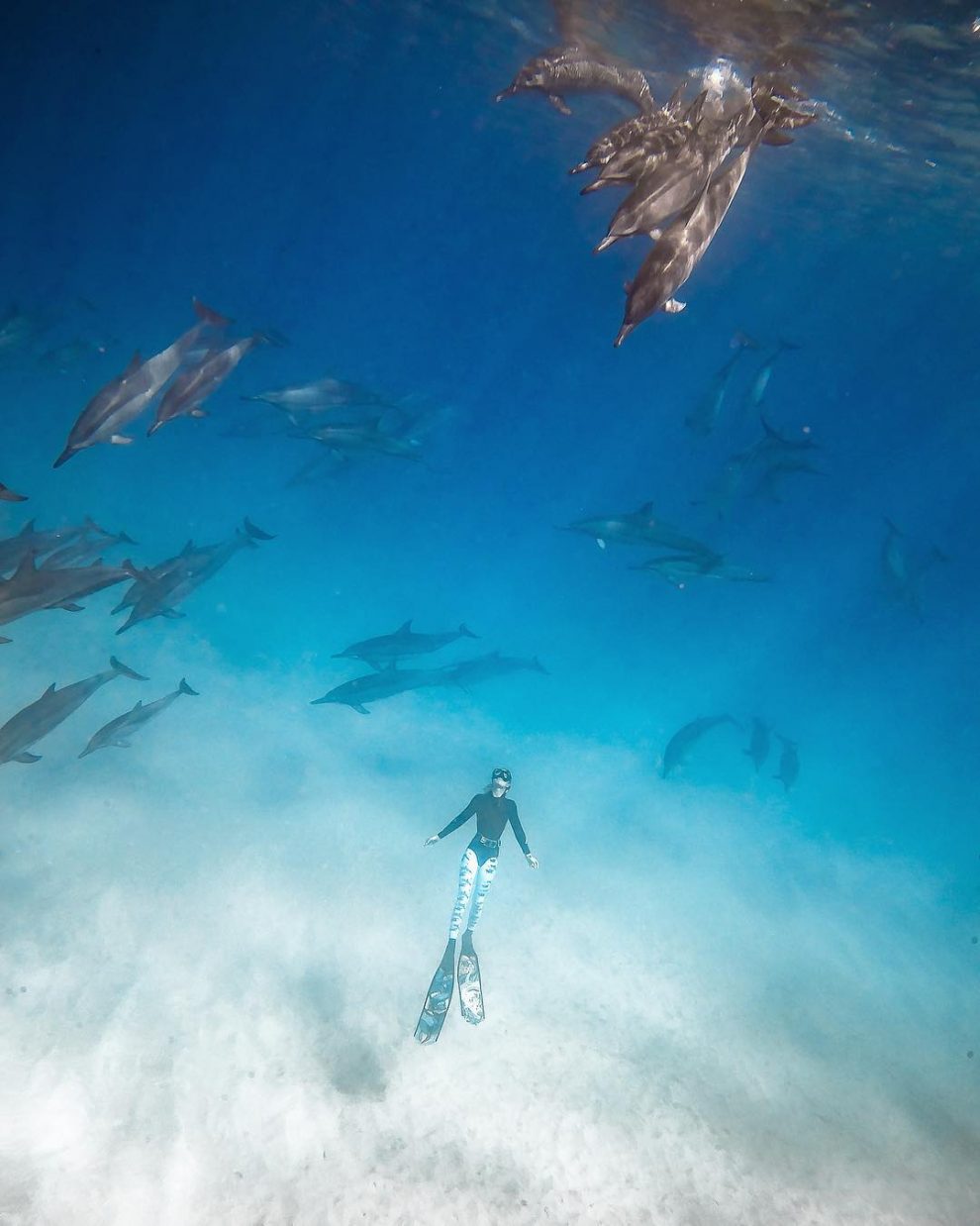 “Dancing With Sharks”: Incredible Underwater Photography By Juan ...