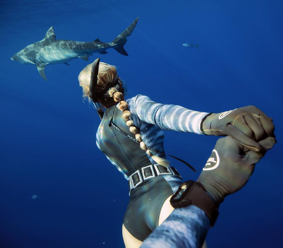 “Dancing With Sharks”: Incredible Underwater Photography By Juan ...