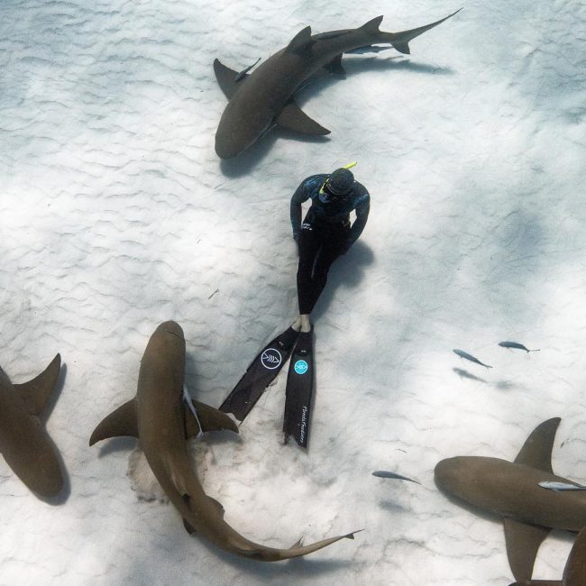 “Dancing With Sharks”: Incredible Underwater Photography By Juan ...