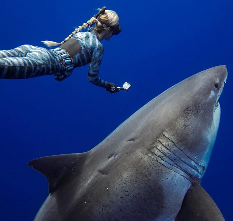 “Dancing With Sharks”: Incredible Underwater Photography By Juan ...