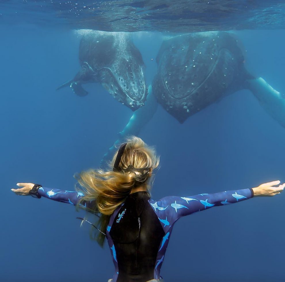 “Dancing With Sharks”: Incredible Underwater Photography By Juan ...