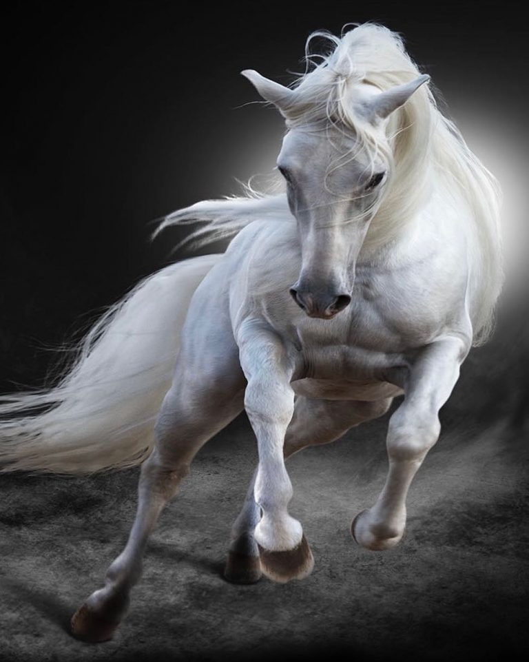 Breathtaking Wildlife And Landscape Photography By Pepe Soho » Design ...