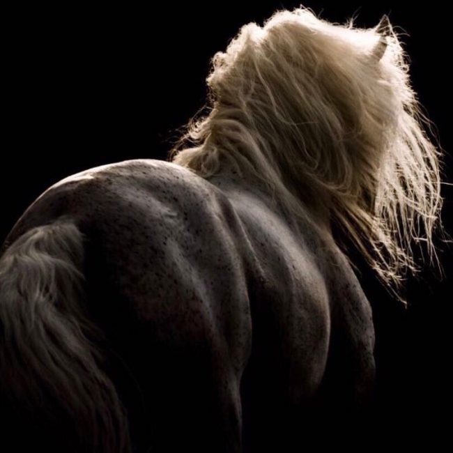 Breathtaking Wildlife And Landscape Photography By Pepe Soho » Design ...