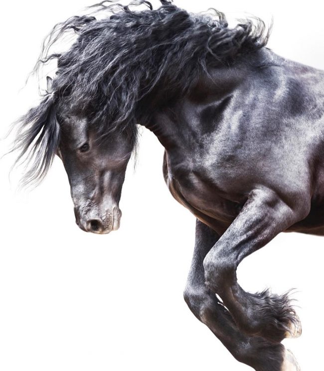 Breathtaking Wildlife And Landscape Photography By Pepe Soho » Design ...