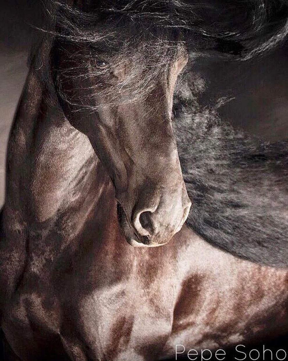 Breathtaking Wildlife And Landscape Photography By Pepe Soho » Design ...