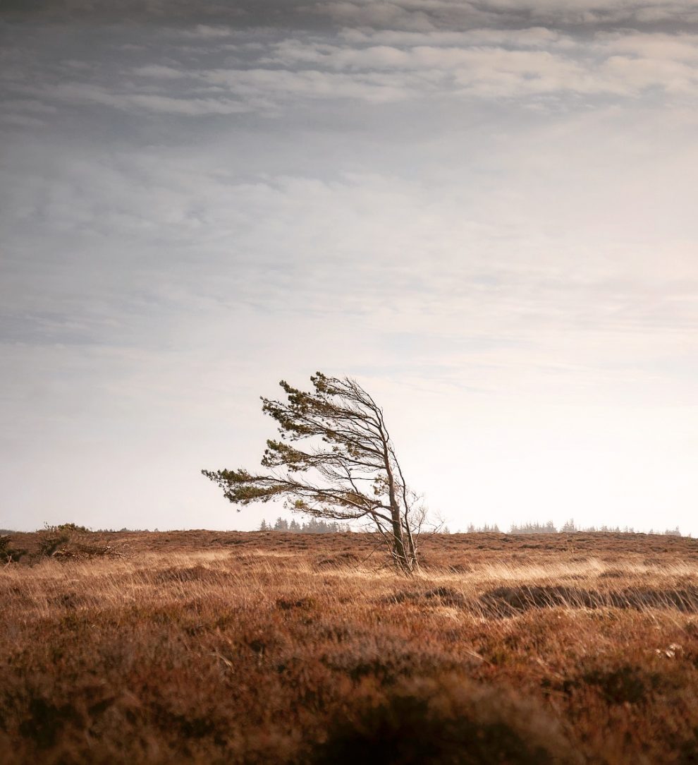 “The Sound Of Silence”: Peaceful Landscapes Photography By Claire ...