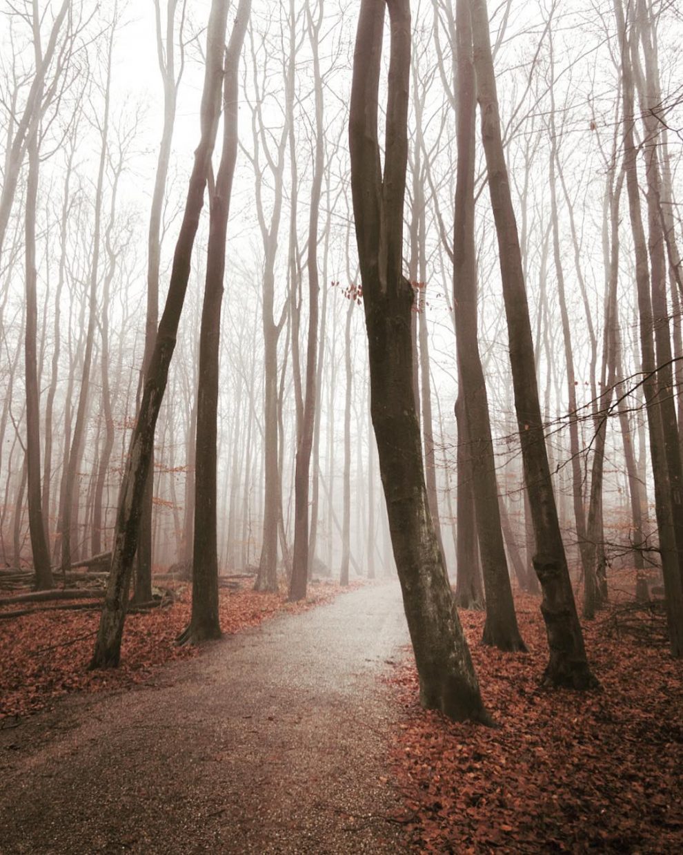 “The Sound Of Silence”: Peaceful Landscapes Photography By Claire ...