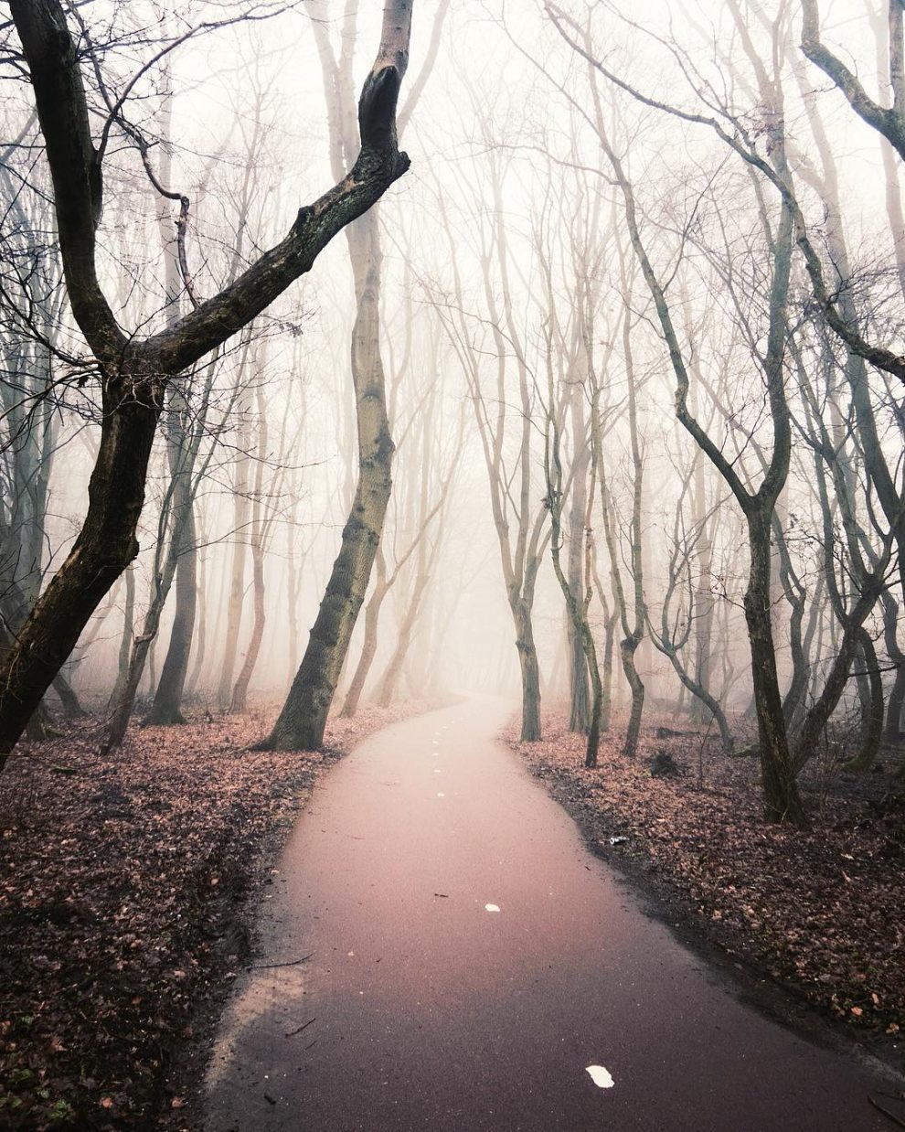 “The Sound Of Silence”: Peaceful Landscapes Photography By Claire ...