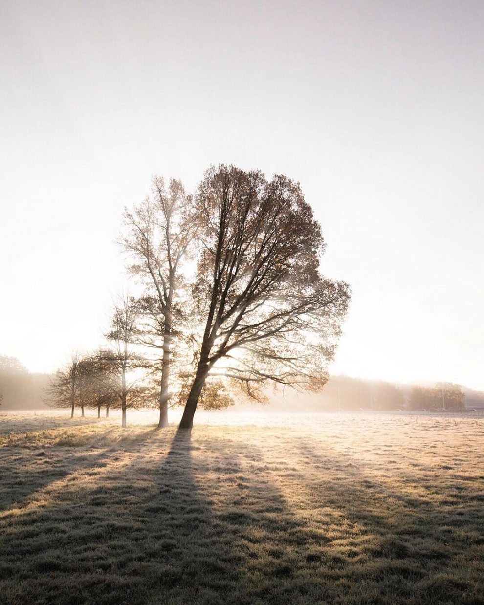 “The Sound Of Silence”: Peaceful Landscapes Photography By Claire ...