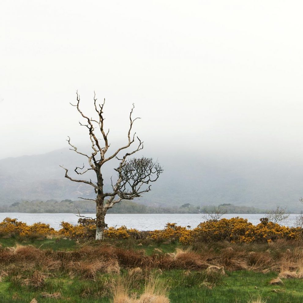 “The Sound Of Silence”: Peaceful Landscapes Photography By Claire ...