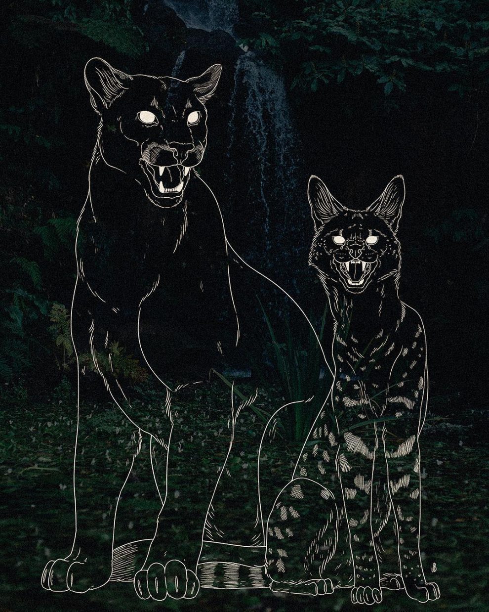 “Oracular Creatures And Arcane Spaces”: Shadowy Animals Infiltrate ...