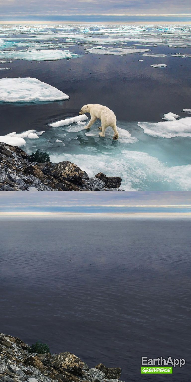 Don’t Wait to See How The Earth Gets Old With Greenpeace Russia’s ...