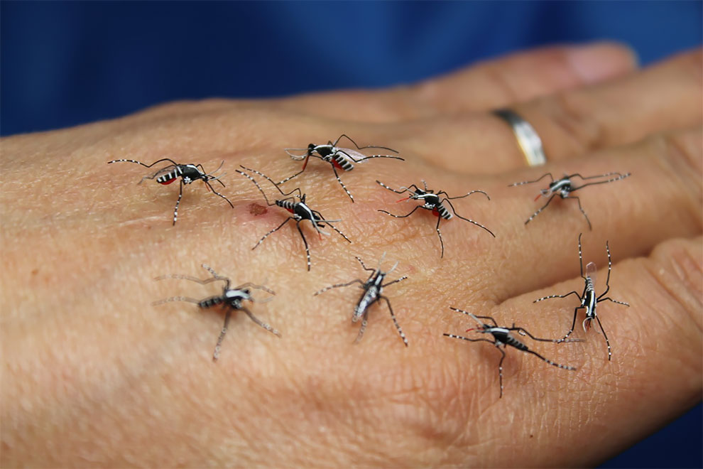 These Papercraft Mosquitoes Look So Real You’ll Want To Swat Them ...