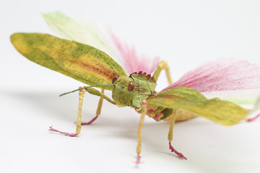 This Paper Artist Creates Realistic Life-Like Animals And Insects ...
