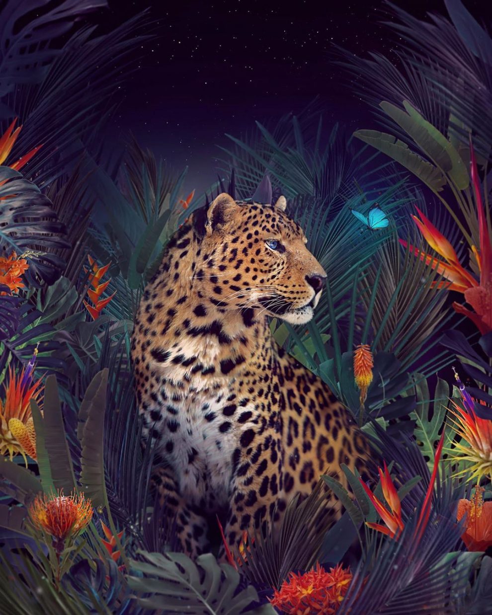 Superb Surreal Animal Artworks By Andreas Häggkvist » Design You Trust ...