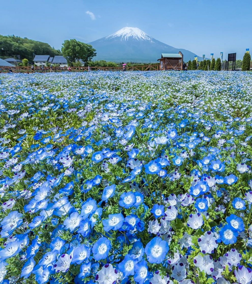 Magical Urban And Natural Landscapes In Japan By Hiroki Furukawa ...