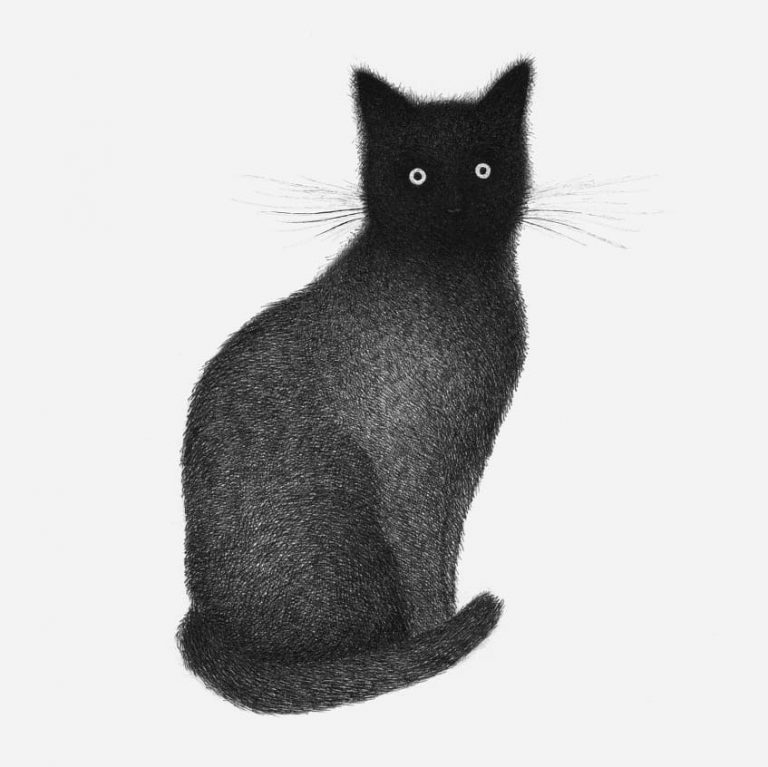 Artist Draws Obscure But Adorable Creatures From Hundreds Of Hatched ...