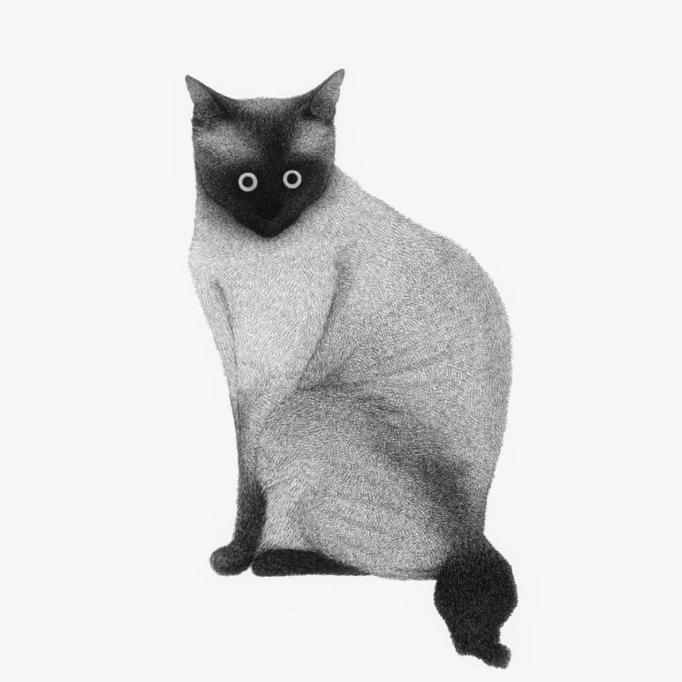 Artist Draws Obscure But Adorable Creatures From Hundreds Of Hatched ...