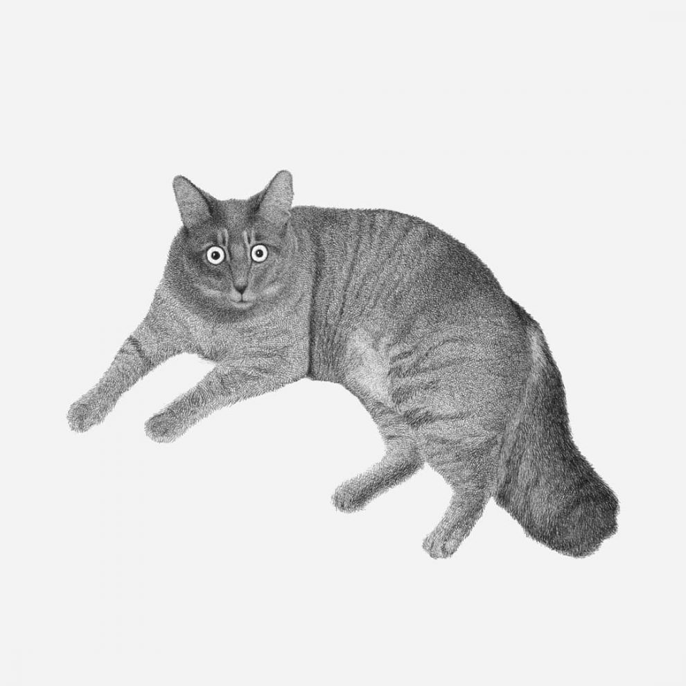 Artist Draws Obscure But Adorable Creatures From Hundreds Of Hatched ...