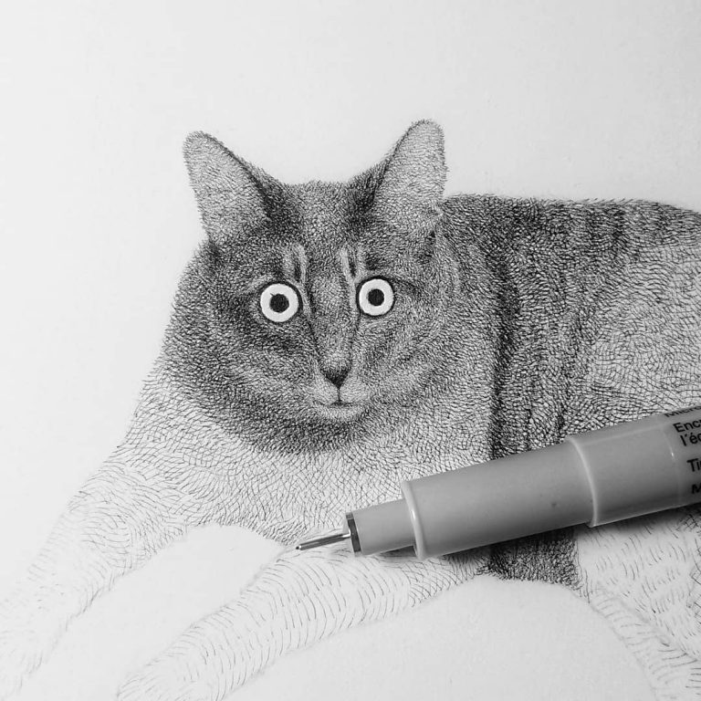 Artist Draws Obscure But Adorable Creatures From Hundreds Of Hatched ...