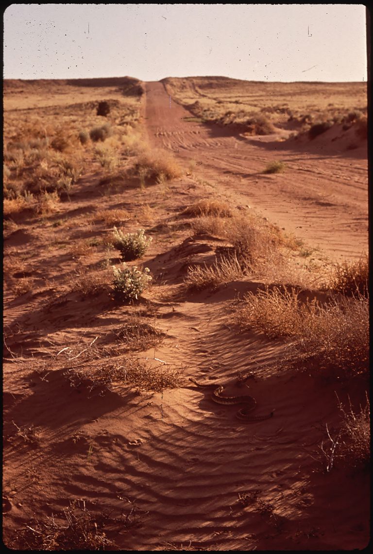 Photographs Of ‘El Segundo Barrio’ Of El Paso In 1972 By Danny Lyon ...