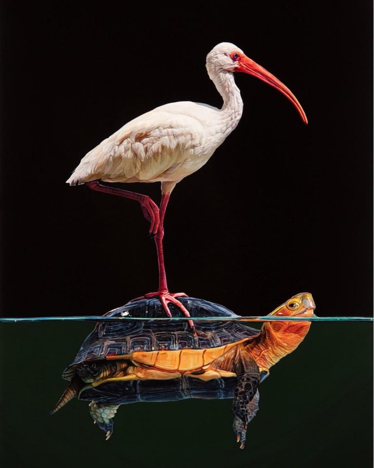 Animals In Between Two Worlds In Realistic Paintings By Lisa Ericson ...