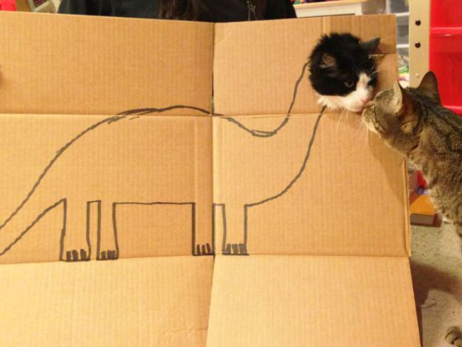 These Pictures Of Cardboard Cat Art Will Make Anyone Laugh » Design You ...