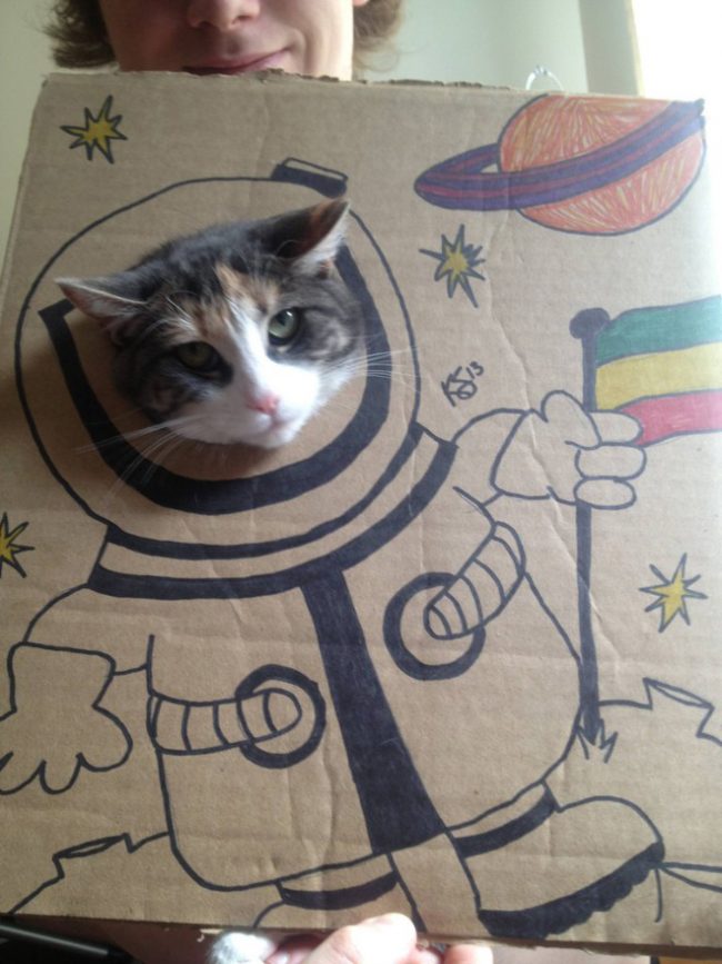 These Pictures Of Cardboard Cat Art Will Make Anyone Laugh » Design You ...