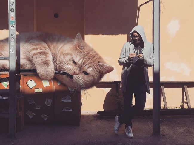 “Cats And The City”: Russian Artist Imagines A World Where Humans Live ...