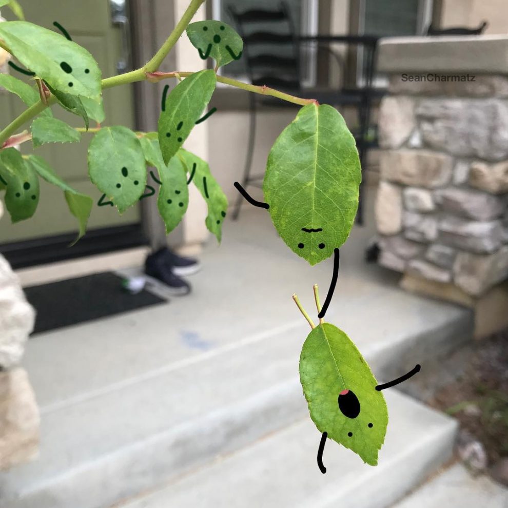 Crack Yourself Up With Sean Charmatz’s Amazing Creations » Design You ...